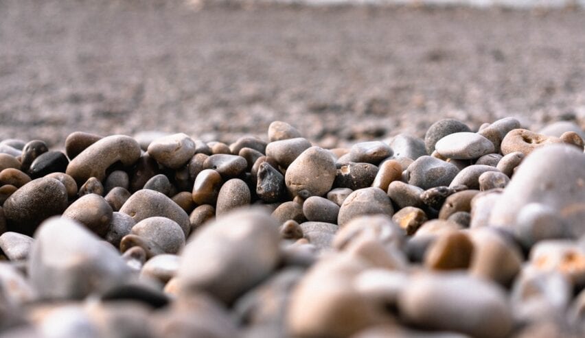 Fossils on Penarth Beach. - Independent Hostels
