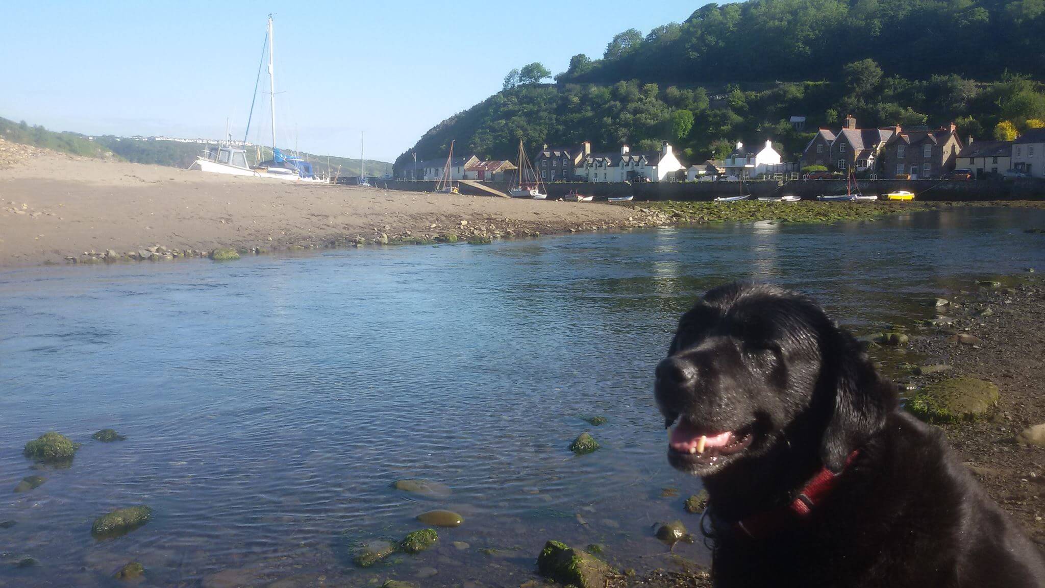 Stay at Hamilton Backpackers Fishguard, Pembrokeshire this summer ...