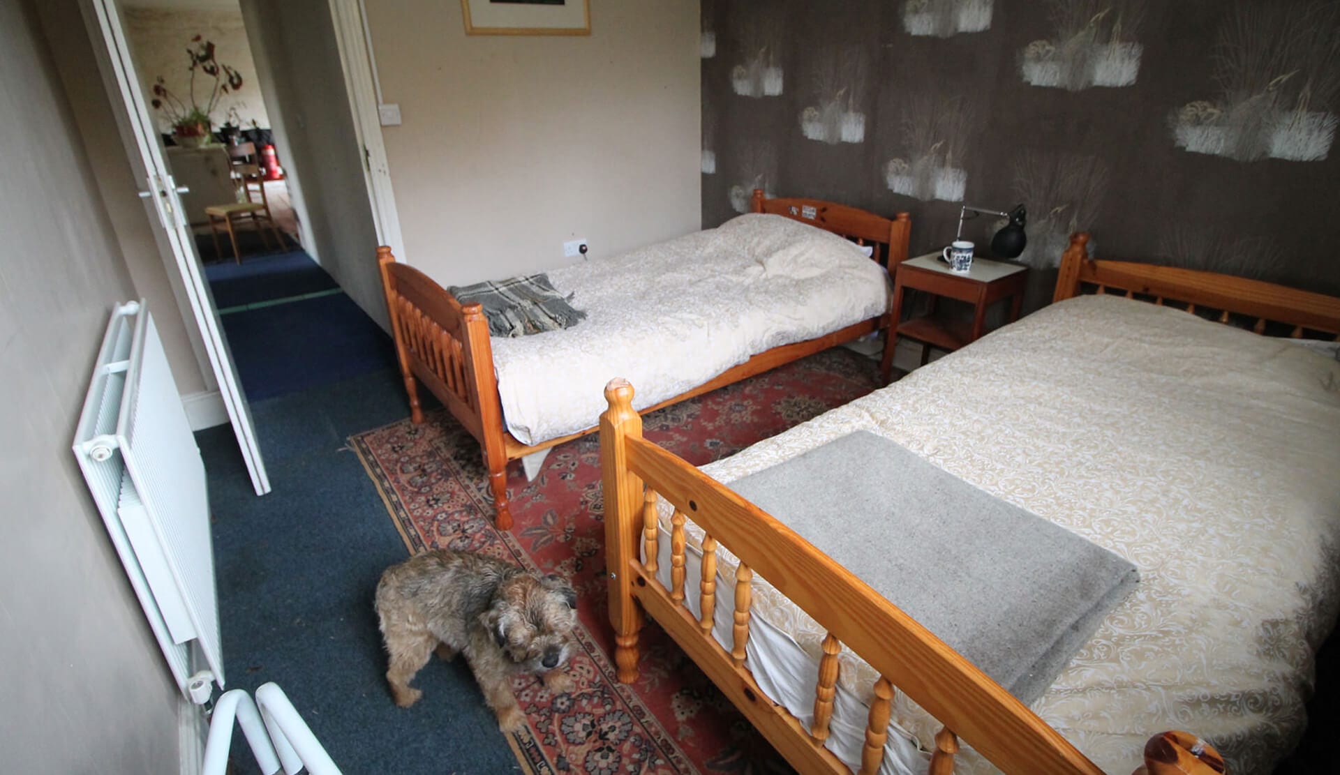 Simple cyclists accommodation in Machynlleth, ideal for those ...