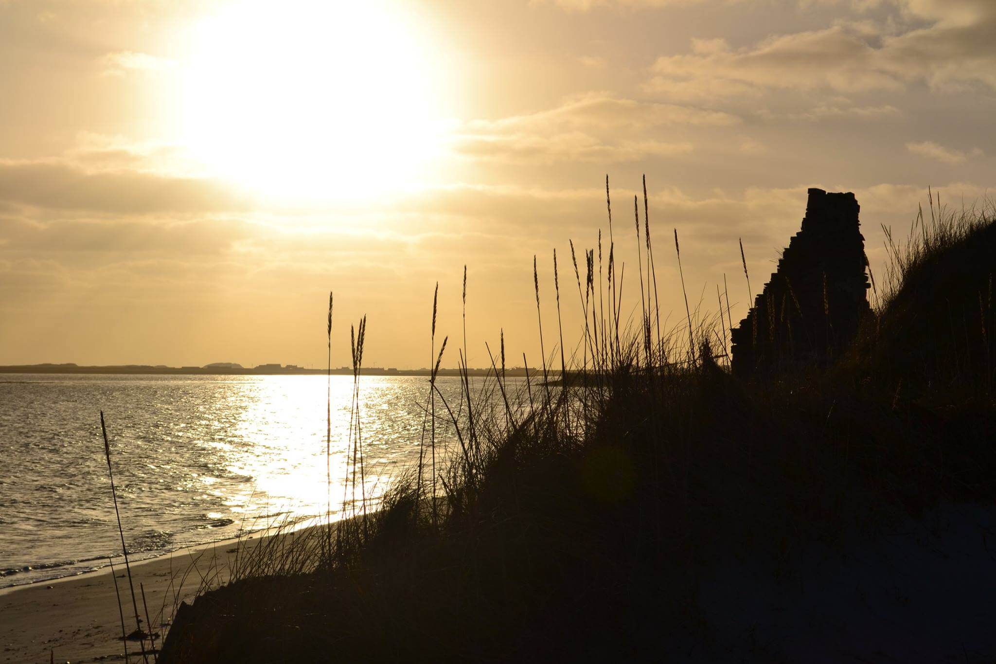 Sanday is steeped in Viking History and unique Scottish island wildlife ...