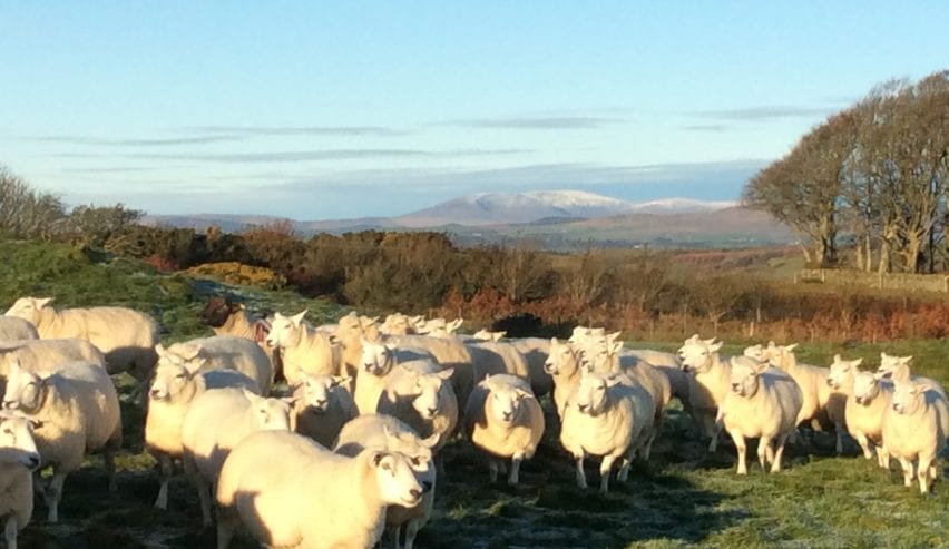 Castle Creavie Hay Barn Hostel - Independent Hostels
