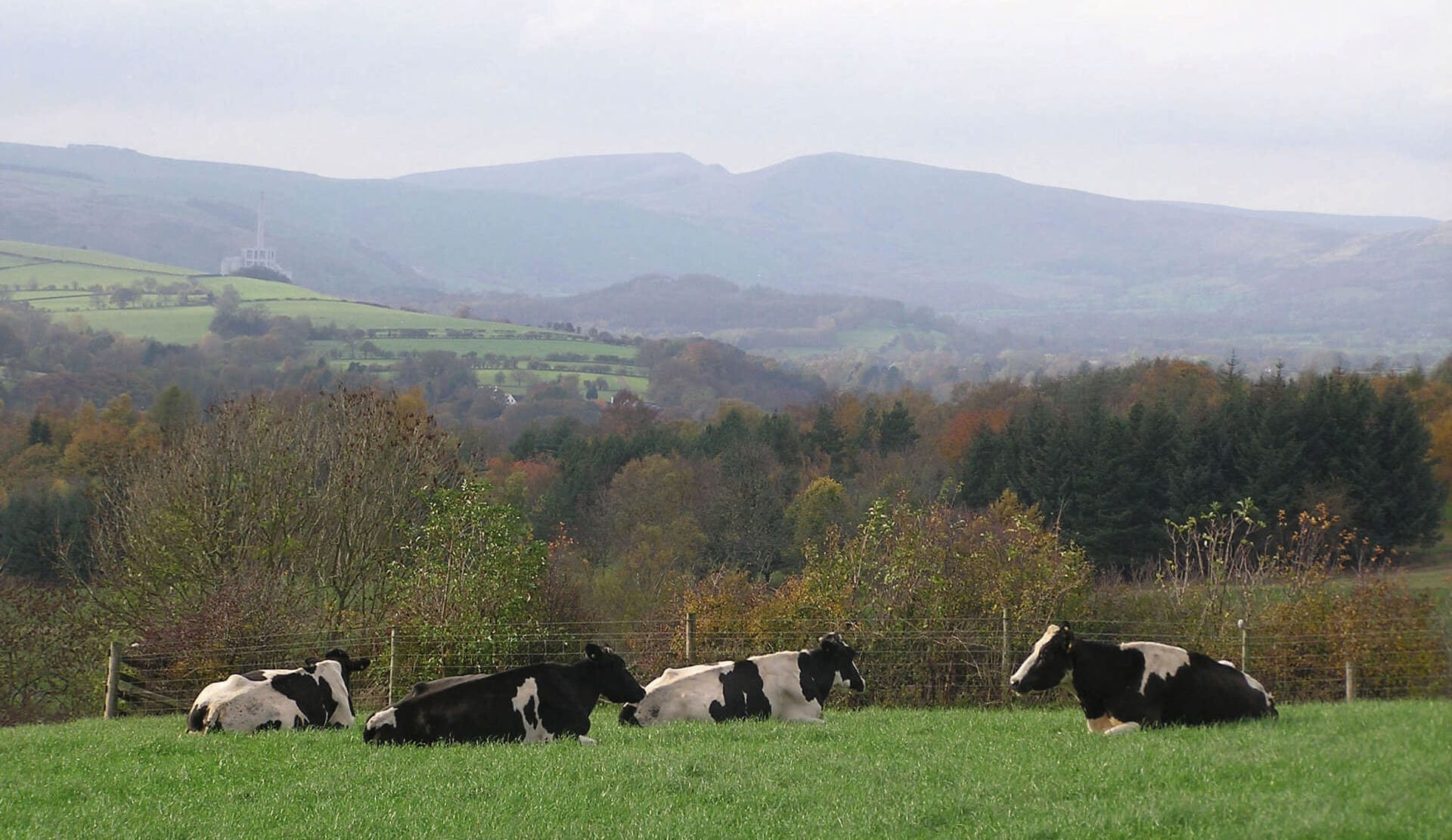 Thorpe Farm Bunkhouses | Self Catering Accomm