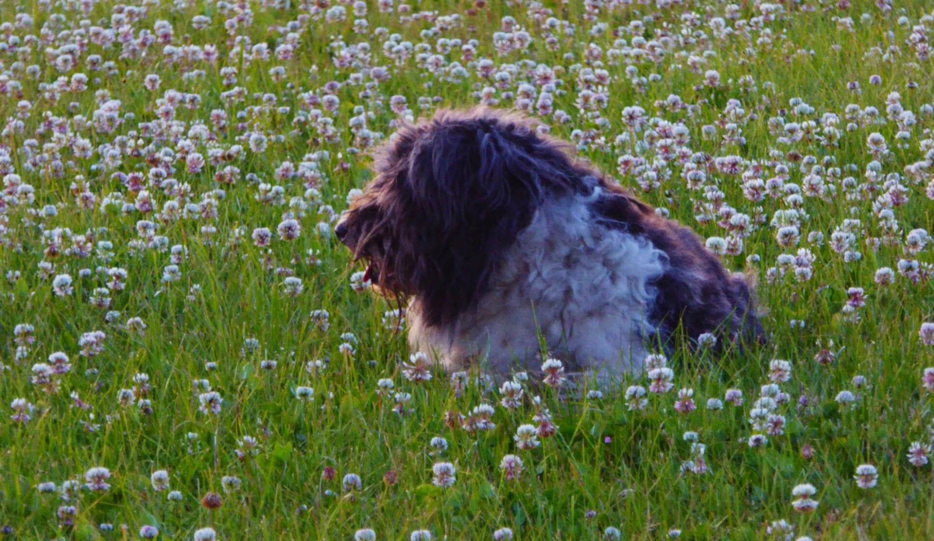 Slack House Farm | Self Catering Accommodation