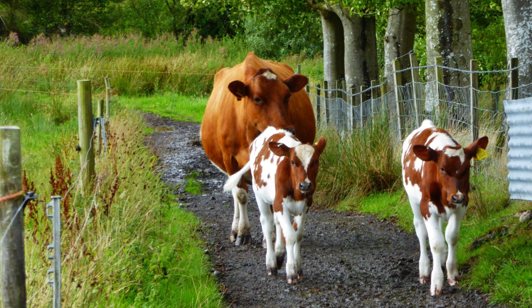 Slack House Farm | Self Catering Accommodation