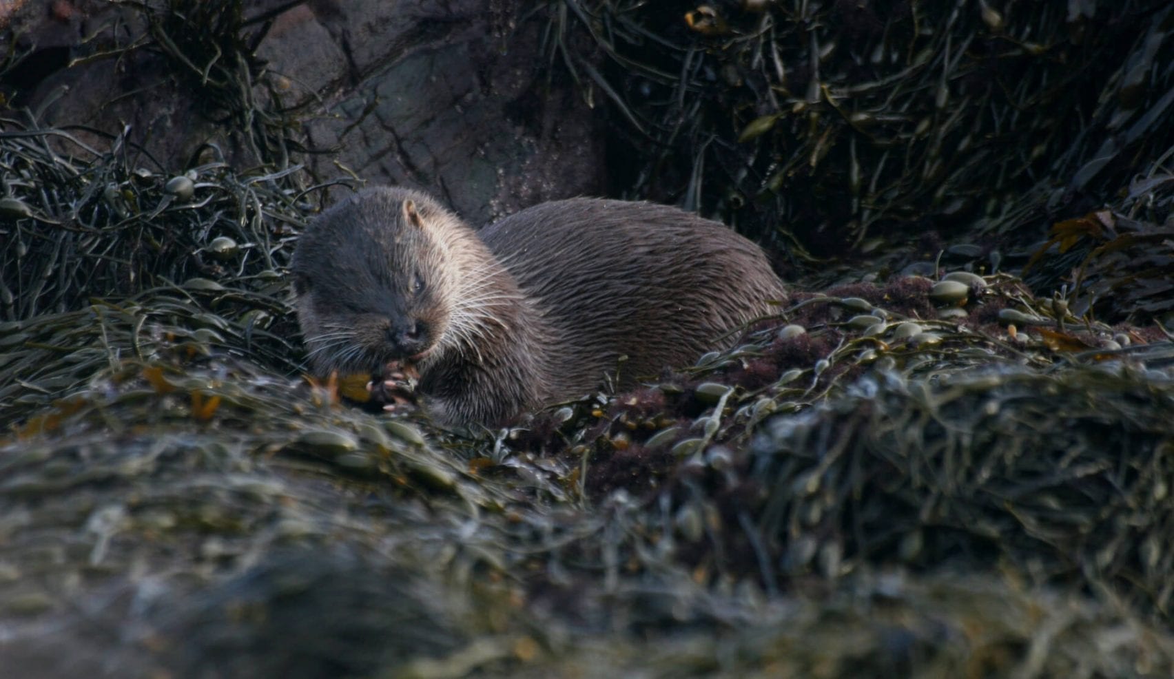 Knoydart Bunkhouse | Self Catering Accommodation