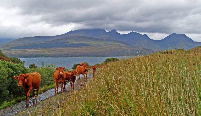 Skye Backpackers | Self Catering Accommodation