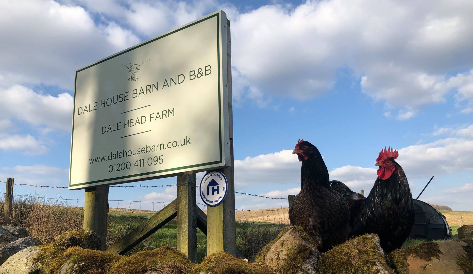 The guardians of the wall have come to inspect Dale House Barns new ...