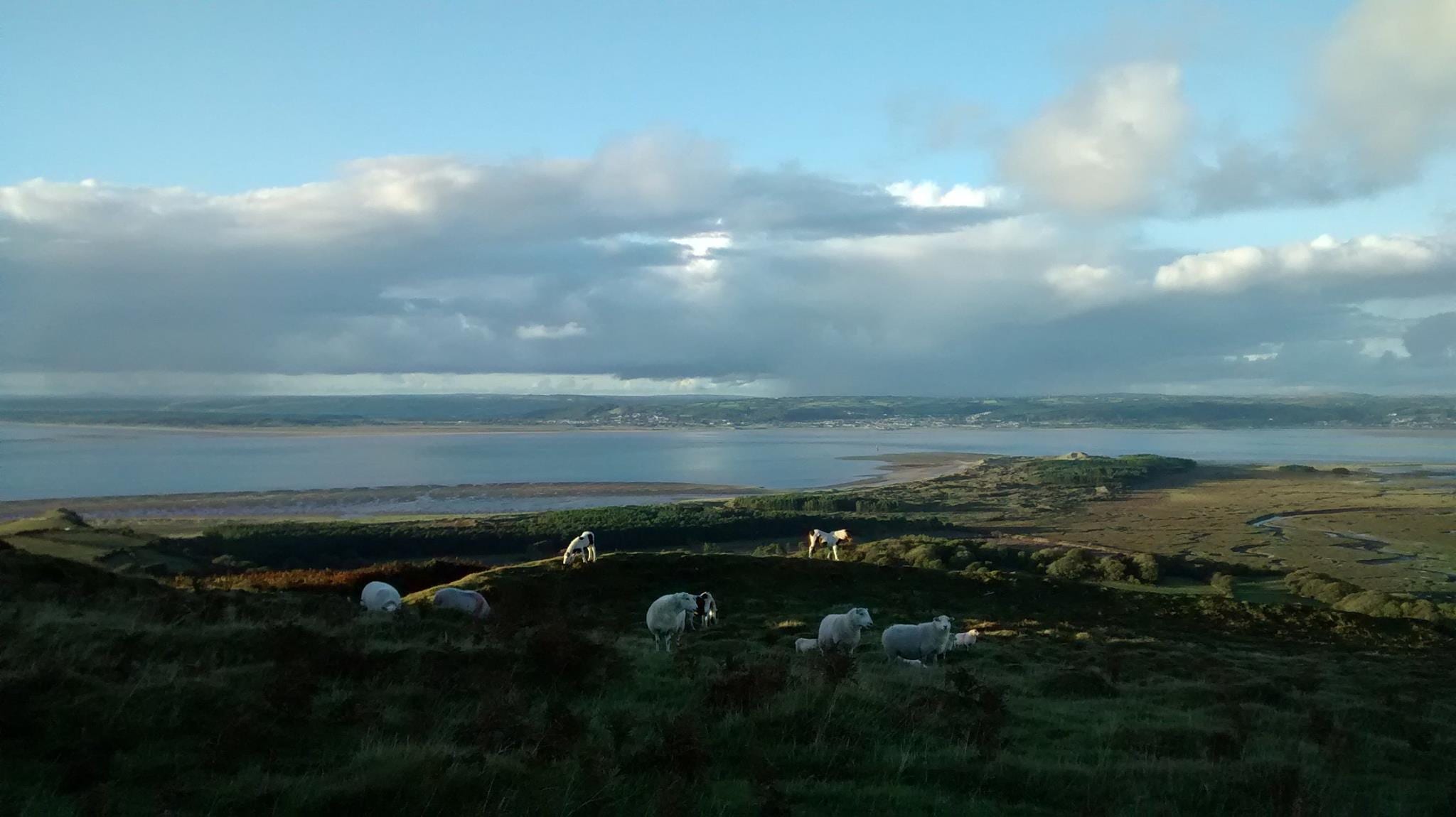 Bring your walking group to the Gower Walking Festival - Independent ...