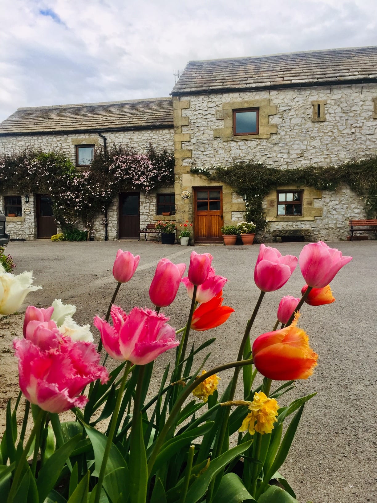 Marmaduke's Rest and Little Barn at Bushey Heath Farm - Independent Hostels