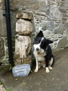 Its that waaay! - Independent Hostels