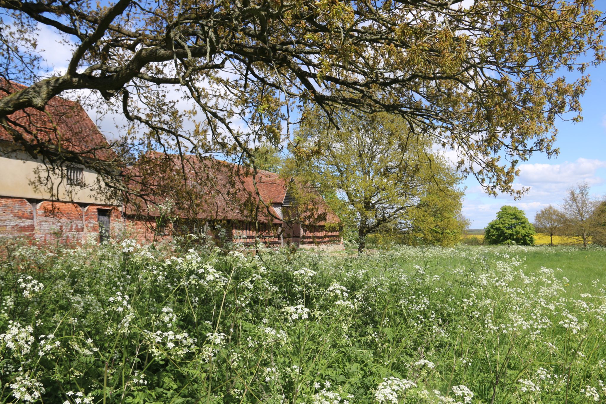 Easter bunnies on the farm in Suffolk - for 22 - Independent Hostels