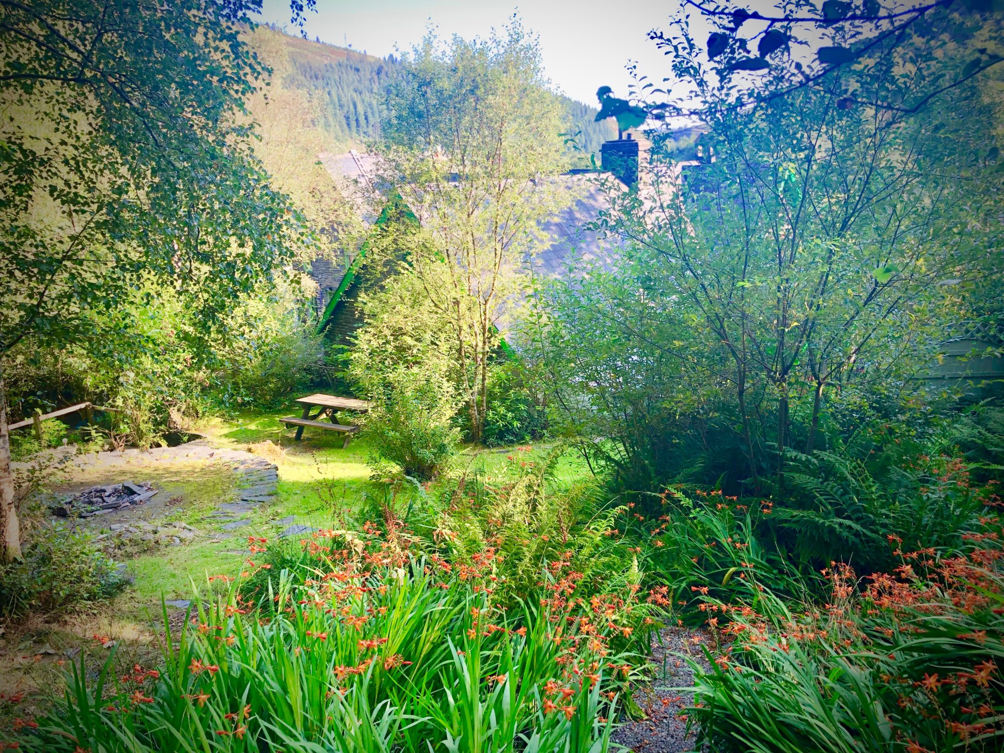 Retreat to Corris. A homely hostel with vibrant energy - Independent ...