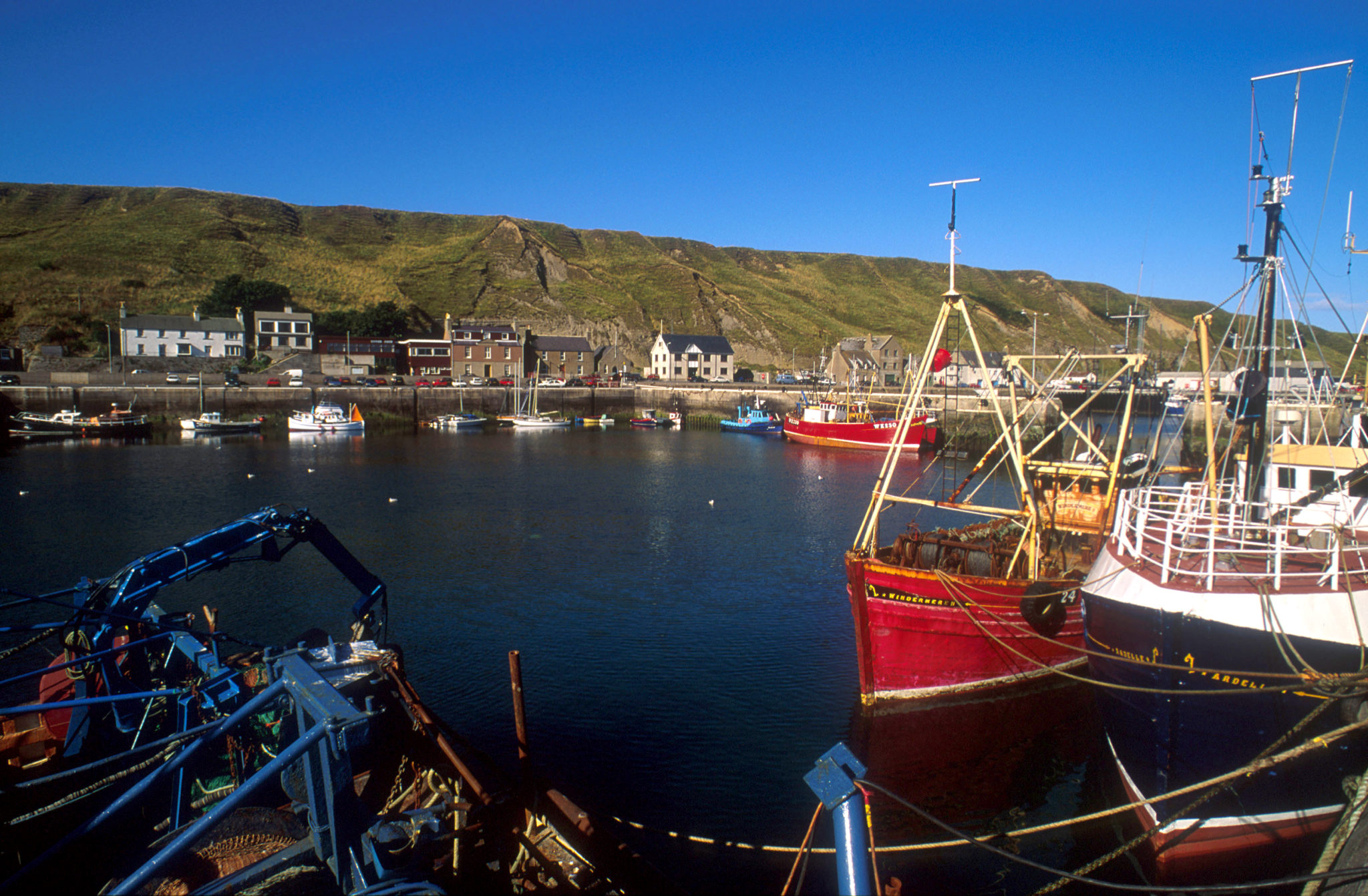 A Scottish wildlife hotspot in the lively town of Thurso on the ...