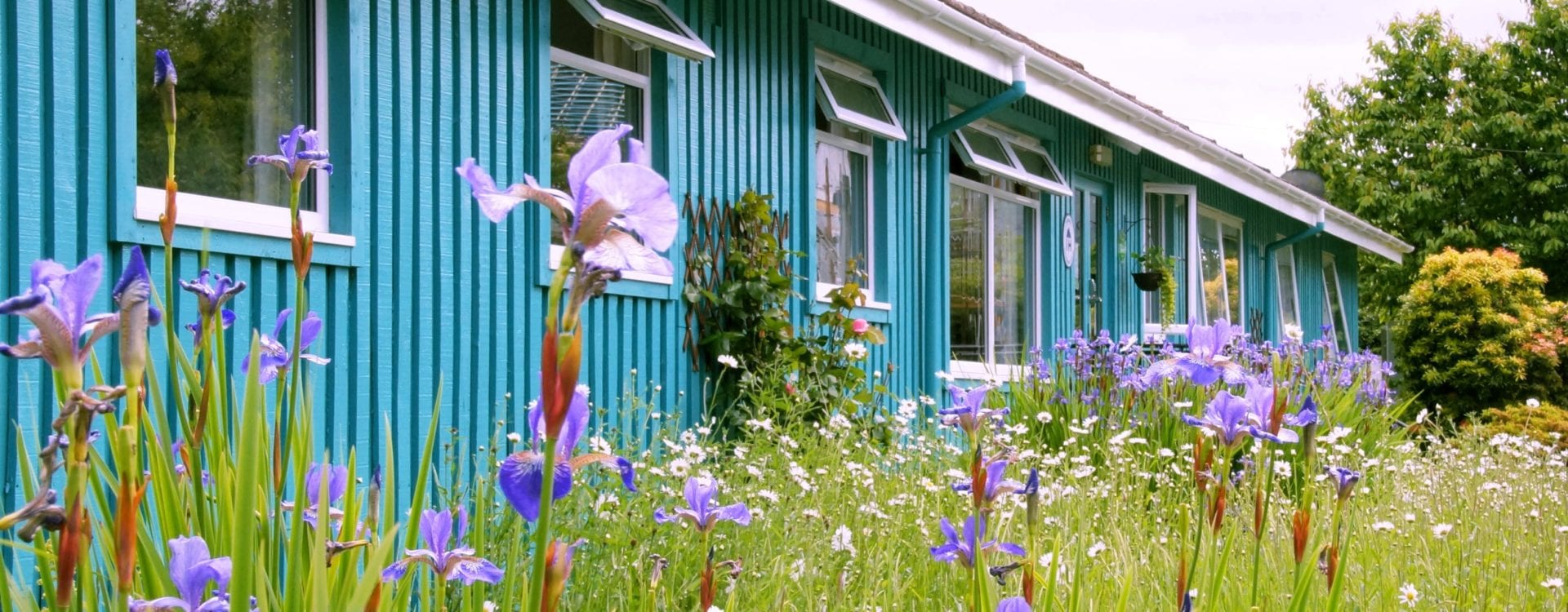 There’s no Restriction on Armchair Travel. - Independent Hostels