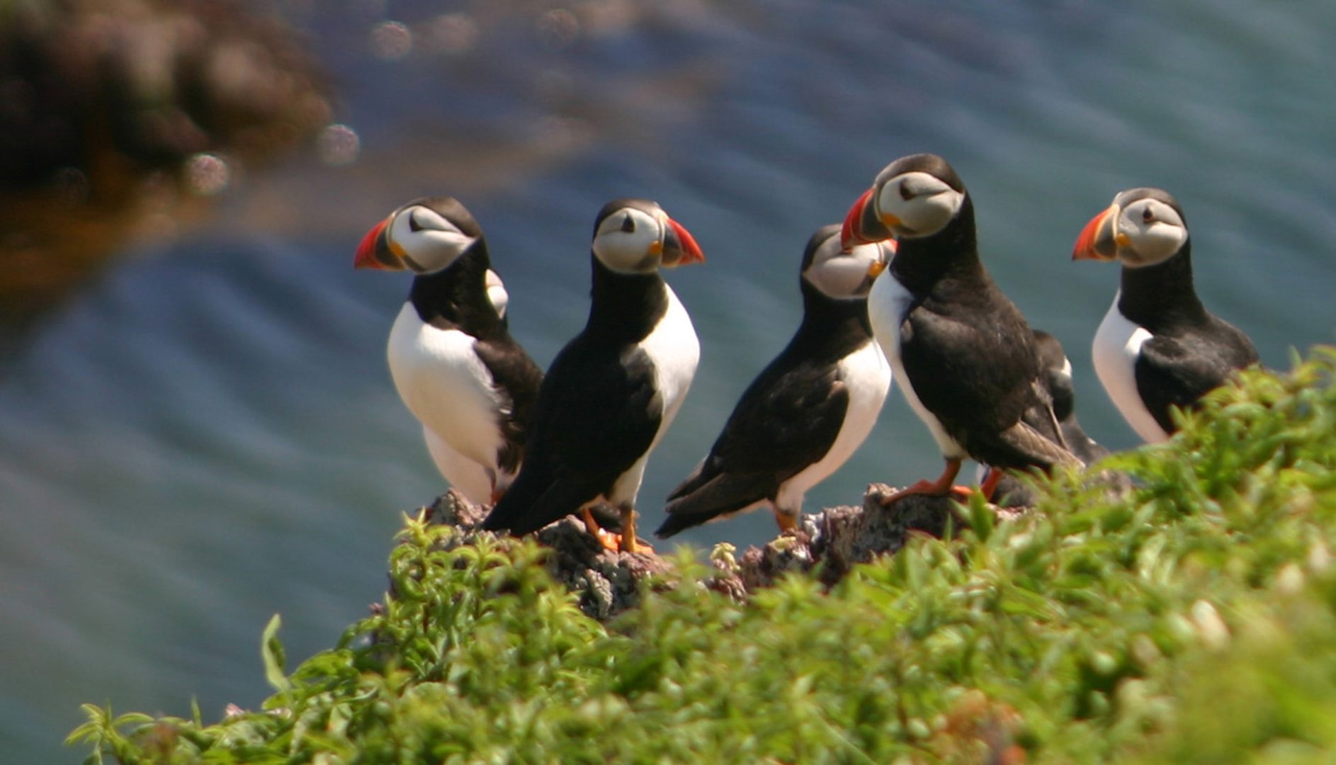 Skomer Island Hostel | Self Catering Accomm