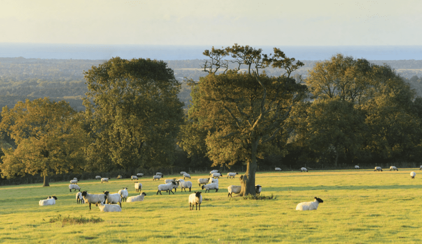 Gumber Bothy | Self Catering Accommodation