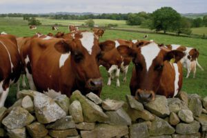 Slack House Farm | Self Catering Accommodation