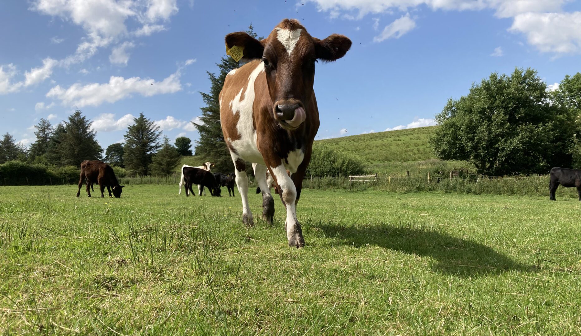 Slack House Farm | Self Catering Accommodation