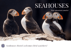 Seahouses Hostel | Self Catering Accommodation