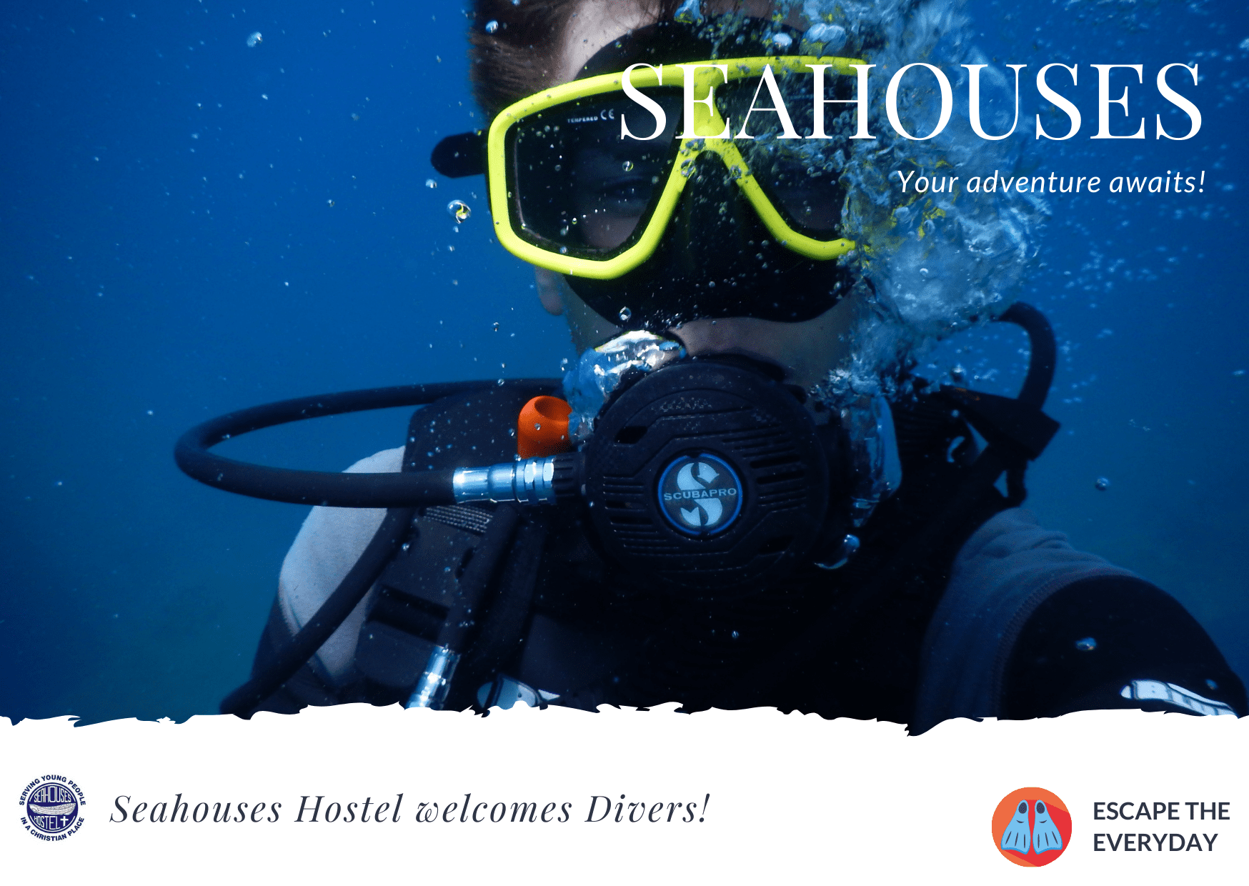 Seahouses Hostel Welcomes Divers! - Independent Hostels