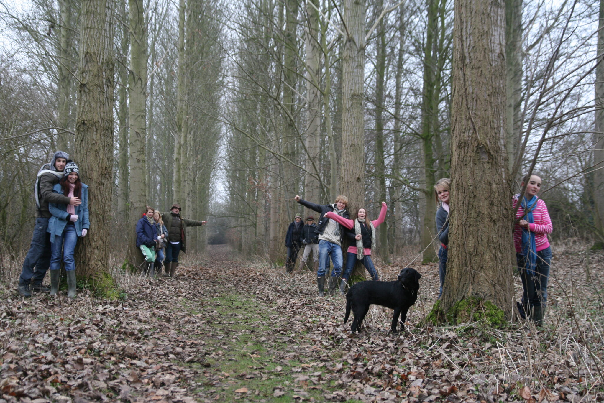 Winter dog-friendly farmstay in Suffolk - Independent Hostels